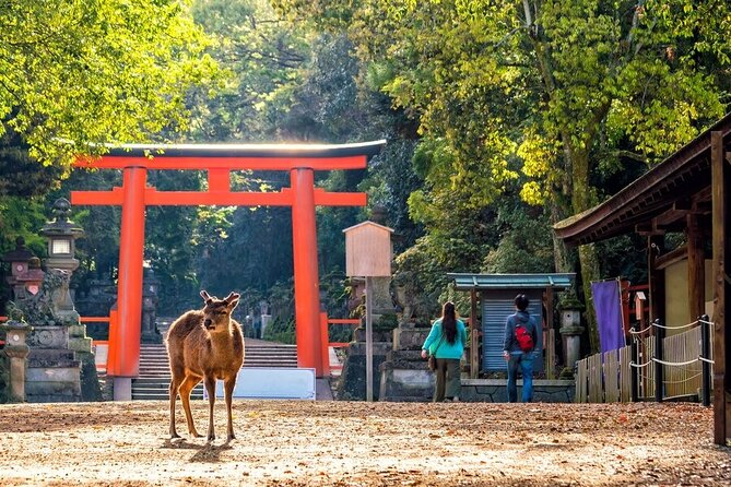 From Tokyo to Kyoto and Nara: A Captivating Full-Day Private Tour - Cultural Immersion Through Cuisine