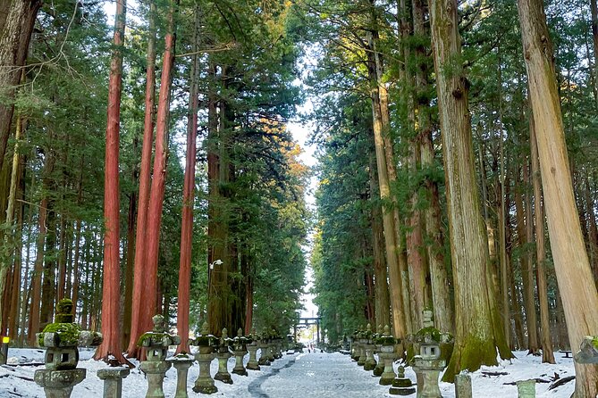 From Tokyo to Mount Fuji! Private Car Tour by Eng Speaking Driver - Inclusions and Fees