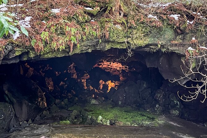 From Tokyo to Mount Fuji! Private Car Tour by Eng Speaking Driver - Accessibility and Participation