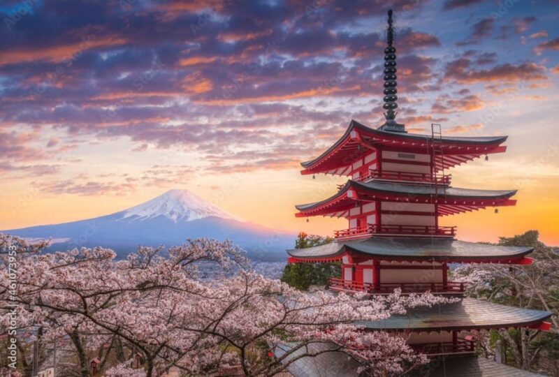 From Tokyo to Mt.Fuji ,Hakone to Anywhere in Japan - Transportation and Inclusions