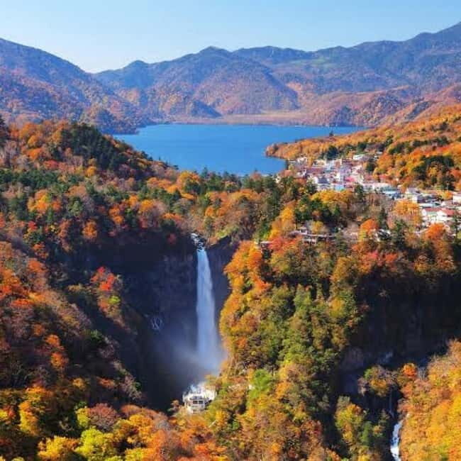 From Tokyo To Nikko Private Day Tour With English Guide - Authentic Experiences and Real Reviews
