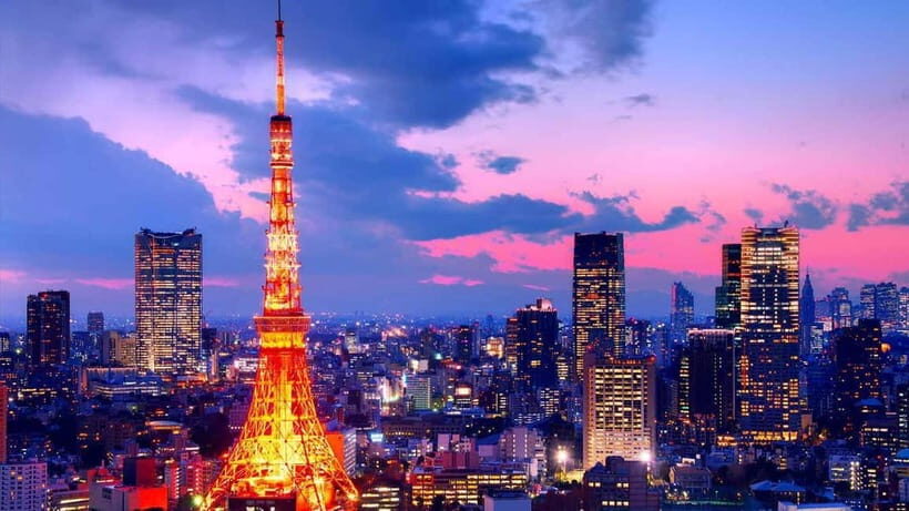 From Tokyo: Tokyo Private Customize Tour With English Driver - Key Points