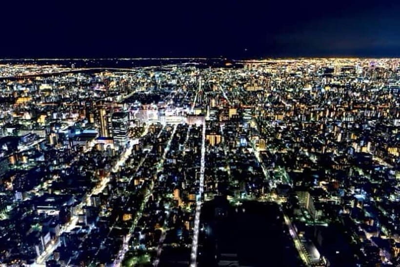 From Tokyo: Tokyo Private Customize Tour With English Driver - FAQ