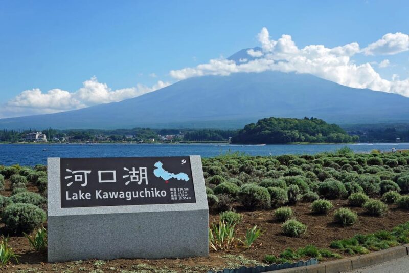 From Tokyo, Yokohama: Mount Fuji Sightseeing Trip - Scenic Viewpoints