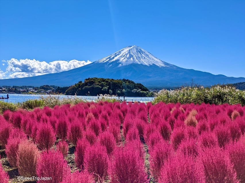 From Tokyo, Yokohama: Mount Fuji Sightseeing Trip - Frequently Asked Questions
