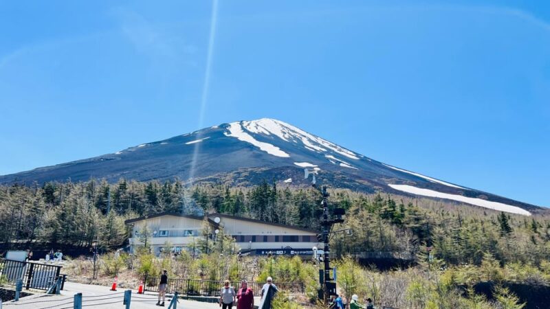 From Tokyo/Yokohama: To Mt. Fuji/Hakone Private Day Trip - Included Services