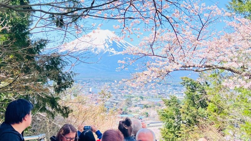 From Tokyo/Yokohama: To Mt. Fuji/Hakone Private Day Trip - Important Information and Customer Reviews