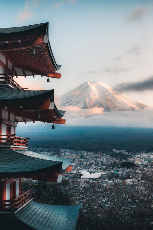 From Tokyo/Yokohama: To Mt. Fuji/Hakone Private Day Trip - Customizing Your Itinerary