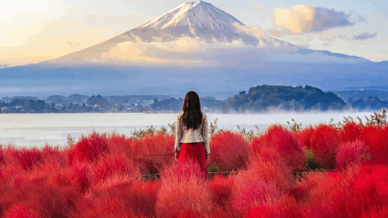 From Tokyo:Hakone One Day Private Tour With English Driver - Included Features