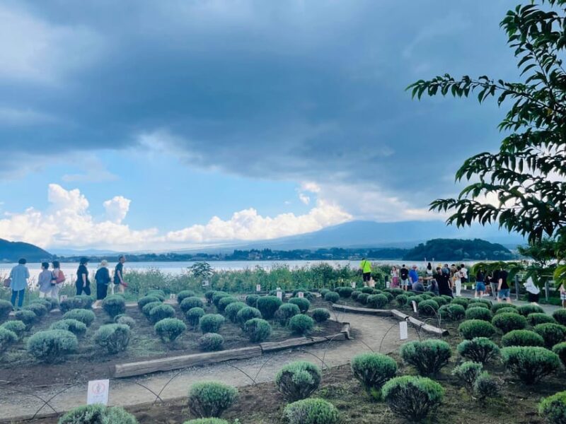 From Tokyo:Mount Fuji Day Tour With English Speaking Driver - Key Points