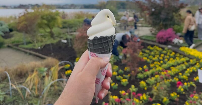 From Tokyo:Mount Fuji Day Tour With English Speaking Driver - Itinerary Highlights