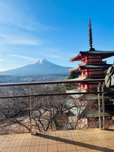 From Tokyo:Mount Fuji Day Tour With English Speaking Driver - Reservation and Payment Options