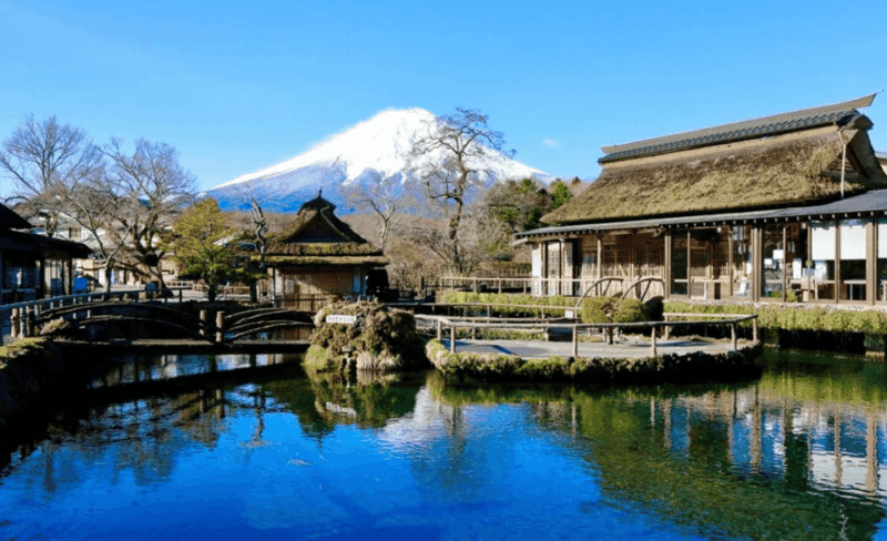 From Tokyo:Mount Fuji & Hakone Customized Private Tour - Key Points