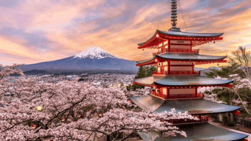 From Tokyo:Mount Fuji & Hakone Customized Private Tour - Transportation and Guide
