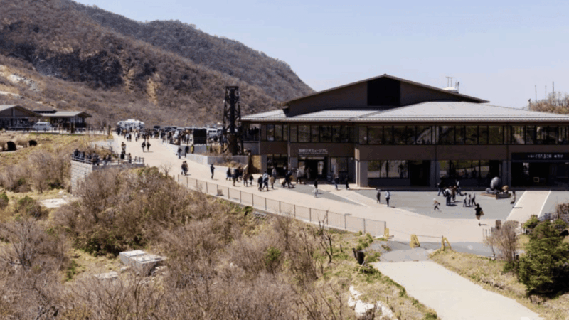 From Tokyo:Mount Fuji & Hakone Customized Private Tour - Customer Reviews and Feedback