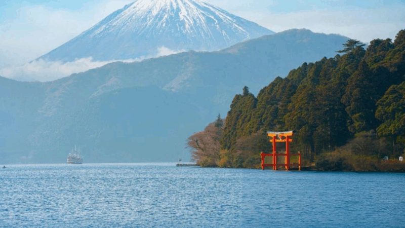 From Tokyo:Mount Fuji & Hakone Customized Private Tour - Discover the Scenic Wonders of Hakone
