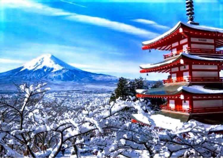 From Tokyo:Mount Fuji Private Customizable Tour With English - What Can You Expect on the Day?