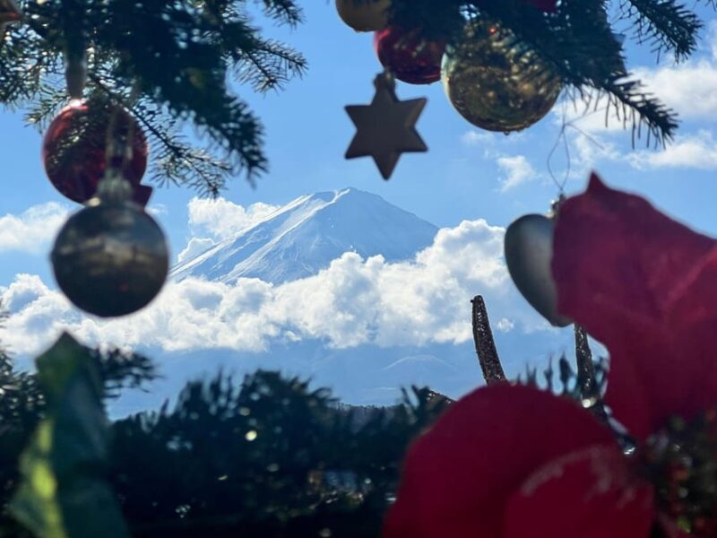 From Tokyo:Mt.Fuji &Hakone Trip With English Speaking Guide - Key Stops Along the Way