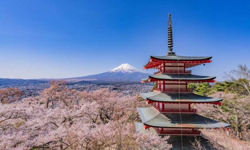 From Tokyo:Mt.Fuji &Hakone Trip With English Speaking Guide - Optional Activities