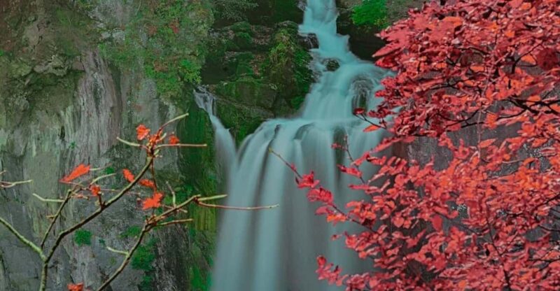 From Tokyo:Niko World Heritage Private Tour English Driver - Key Points