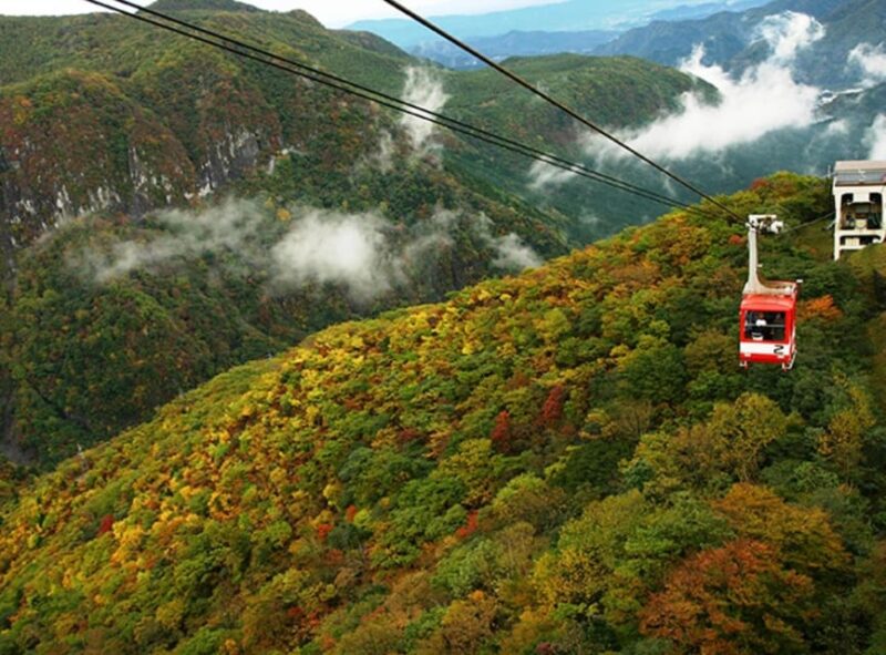 From Tokyo:Niko World Heritage Private Tour English Driver - Exploring Toshogu Shrine