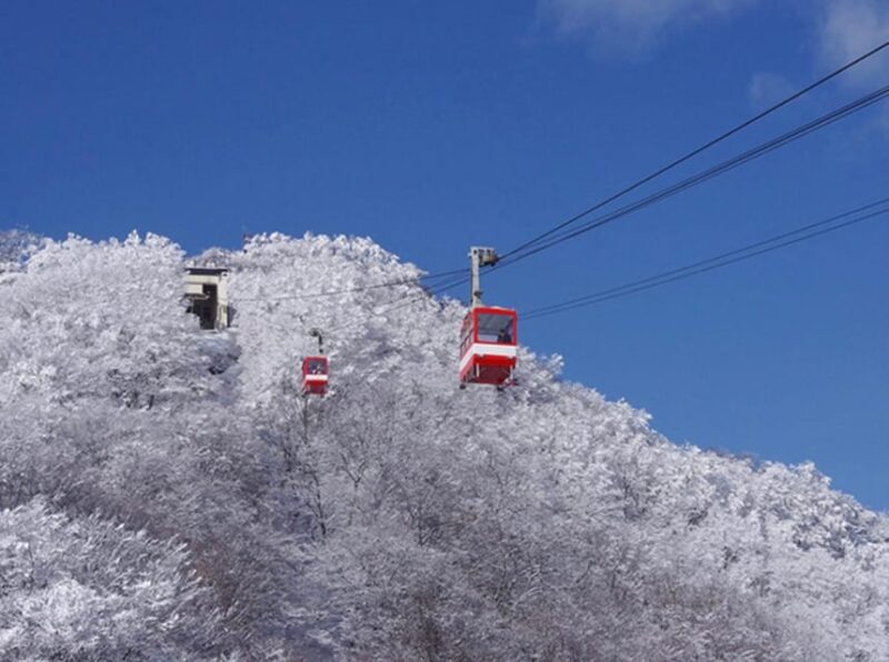 From Tokyo:Niko World Heritage Private Tour English Driver - Optional Visits and Nikko-style Lunch
