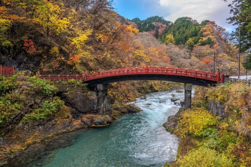 From Tokyo:Private Nikko World Heritage Site Day Tour by Car - Important Information