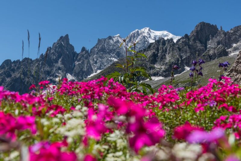 From Torino: Mont Blanc Private Full-Day Trip - Since You Asked