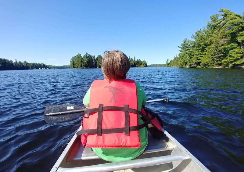 From Toronto: Algonquin Park Canoeing & Hiking Adventure - Summary: Who Is This Tour Perfect For?