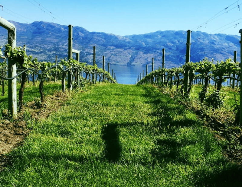 From Toronto: Niagara Wine Tours - Frequently Asked Questions