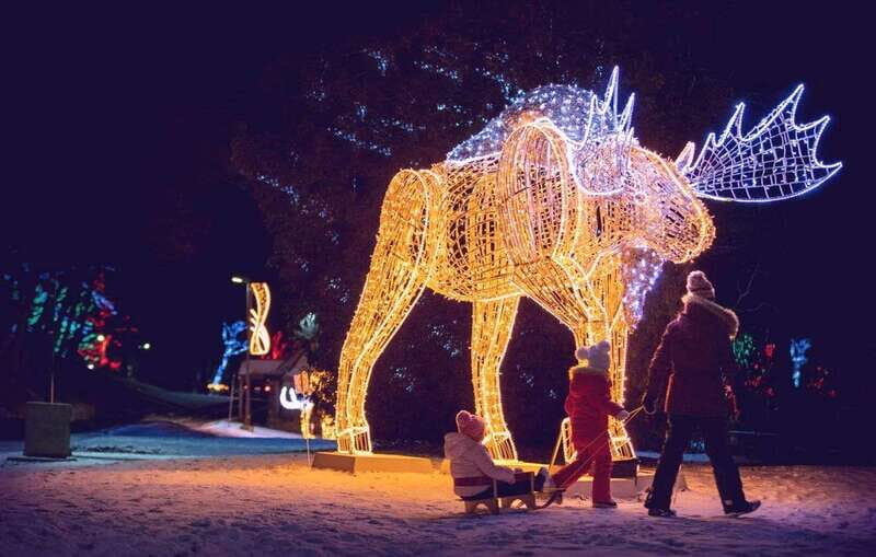 From Toronto: Winter Festival of Lights Niagara Falls Tour - An In-Depth Look at the Tour