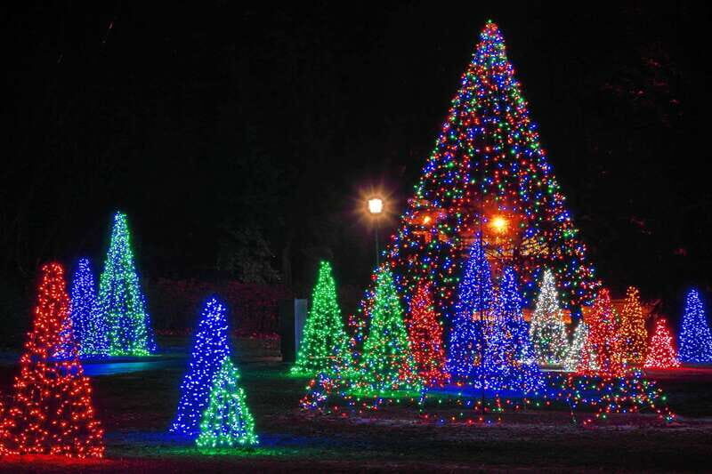 From Toronto: Winter Festival of Lights Niagara Falls Tour - In The Sum Up