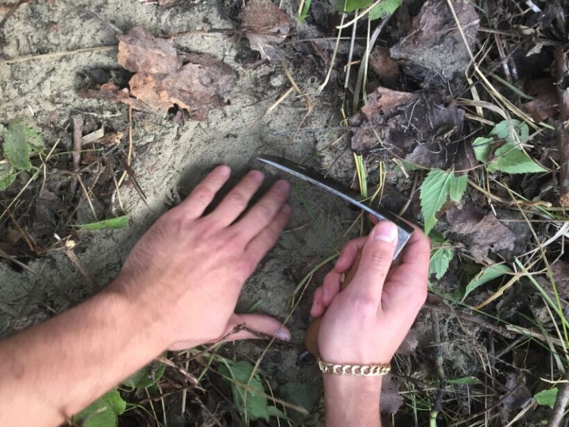 From Tortona: Piedmont Truffle Hunting Experience - Final Thoughts