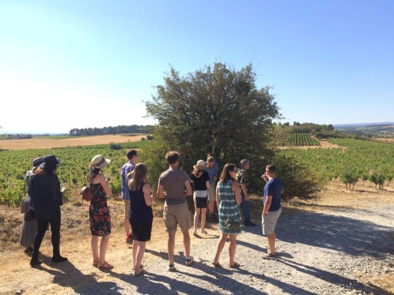 From Toulouse Cite de carcassonne et wine tasting - Why This Tour Works Well