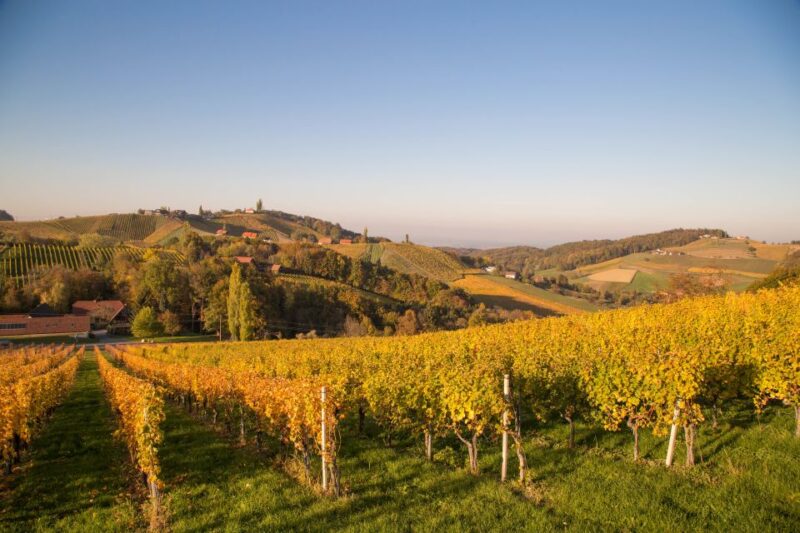 From Tours: Loire Valley Wineries Day Trip with Tastings - Discovering the Loire Valley’s Hidden Gems