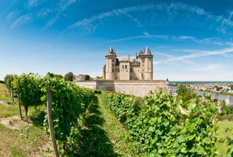 From Tours: Loire Valley Wineries Day Trip with Tastings - The Itinerary: A Well-Structured Day