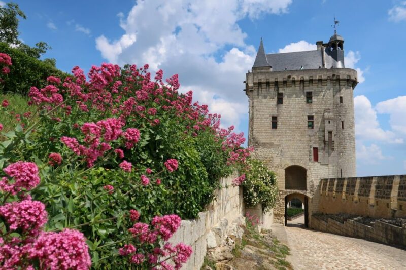 From Tours: Loire Valley Wineries Day Trip with Tastings - Authentic Experiences and Authentic Guides