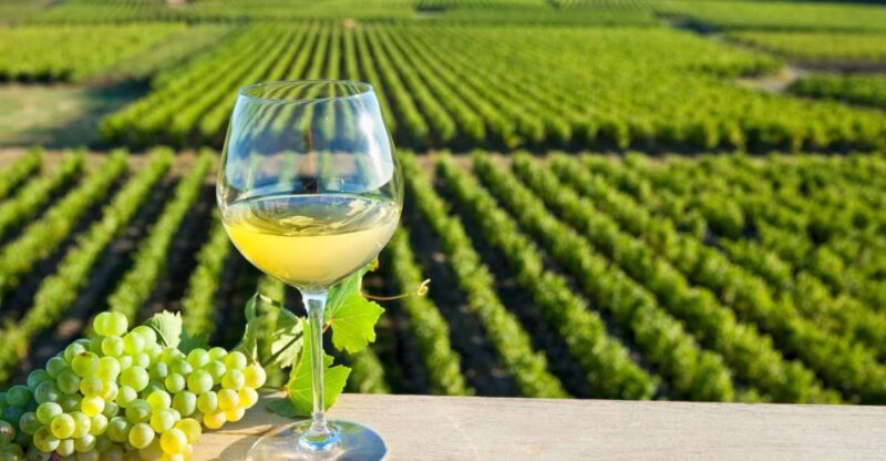 From Tours: Loire Valley Wineries Day Trip with Tastings - Visualize the Experience