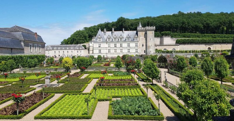 From Tours: Villandry, Azay-le-Rideau & Vouvray Winery - Who Should Book This Tour?