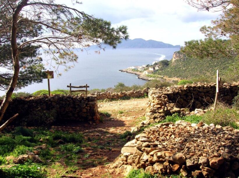 From Trapani: Cruise to Favignana and Levanzo with lunch - Overview of the Experience