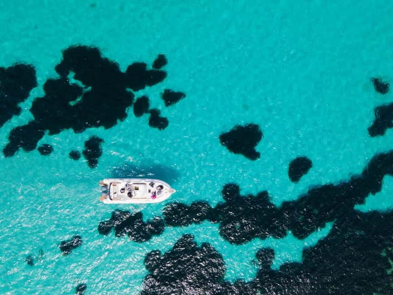 From Trapani: Egadi Islands Favignana & Levanzo Cruise - The Real Deal: What Travelers Say