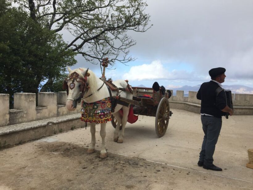 From Trapani: Erice Walking Tour and Local Products Tasting - FAQ