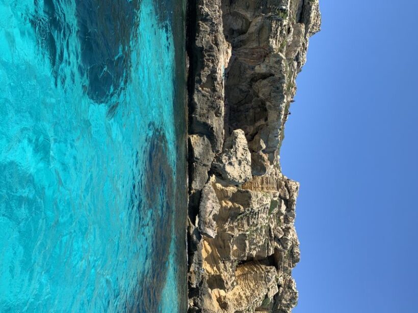From Trapani: Favignana and Levanzo Full Day Cruise - What the Reviews Say