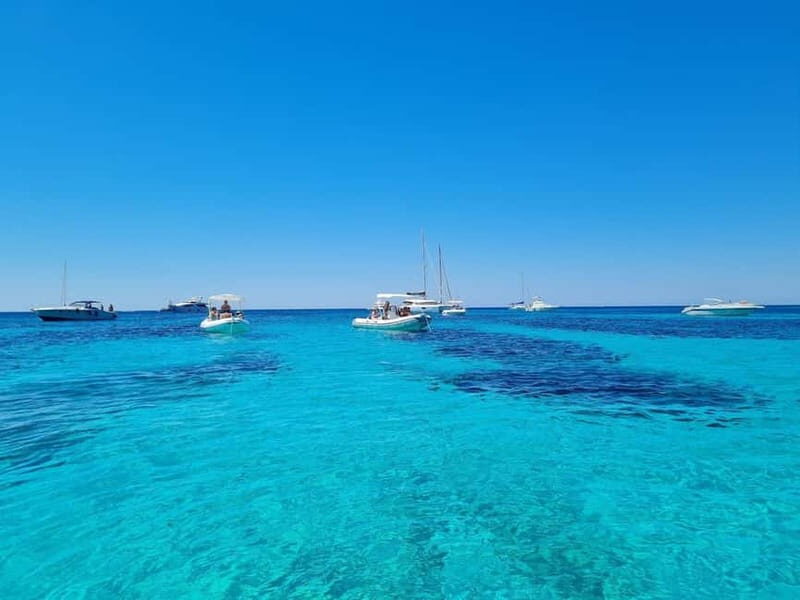 From Trapani: Favignana and Levanzo full-day tour with lunch and aperitif - Key Points