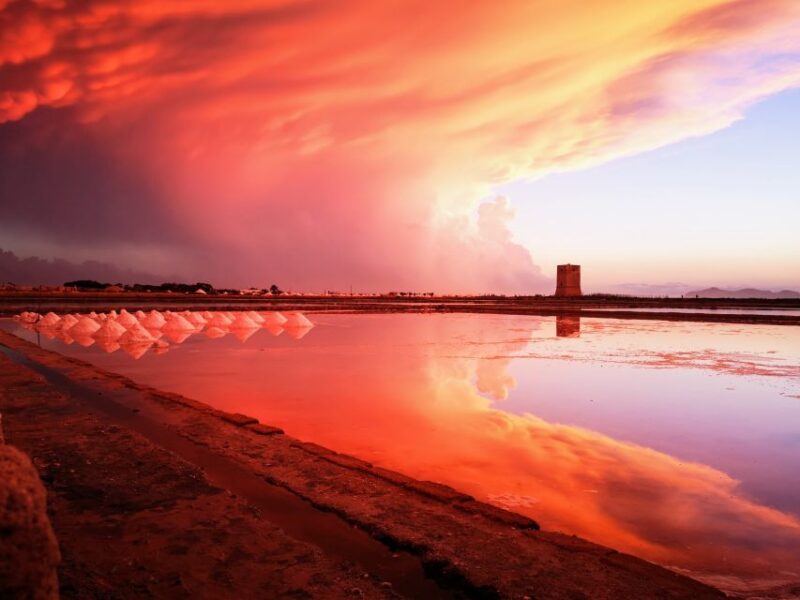 From Trapani: Stagnone Islands of Marsala and Salt Pans - Tasting Local Products