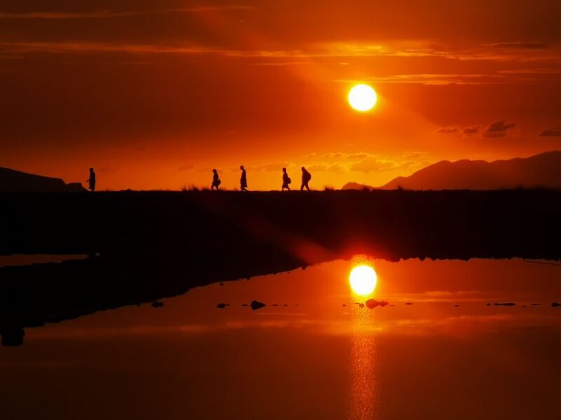 From Trapani: Stagnone Islands of Marsala and Salt Pans - Scenic Views and Wildlife