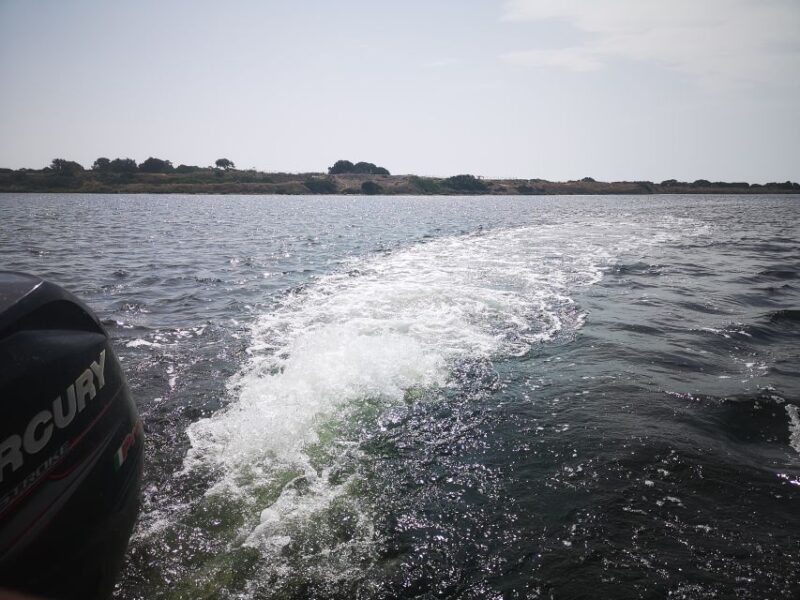 From Trapani: Stagnone Islands of Marsala and Salt Pans - Frequently Asked Questions