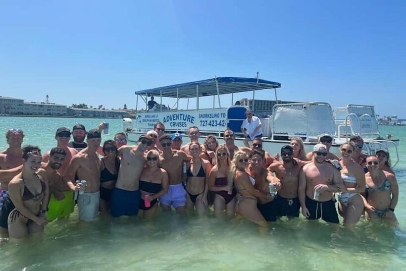 From Treasure Island: Dolphin Watching and Shelling Cruise - Key Points