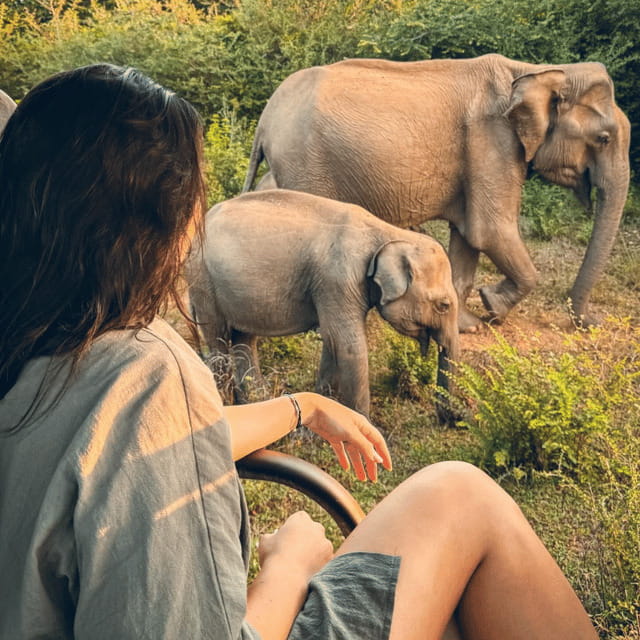 From Trincomalee : Minneriya / Kaudulla Elephant Safari - FAQs