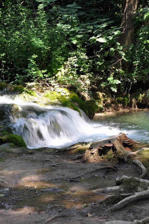 From Trogir, Seget & Okrug: Krka Waterfalls Gastro Tour - Scenic River Boat Ride and the Town of Skradin
